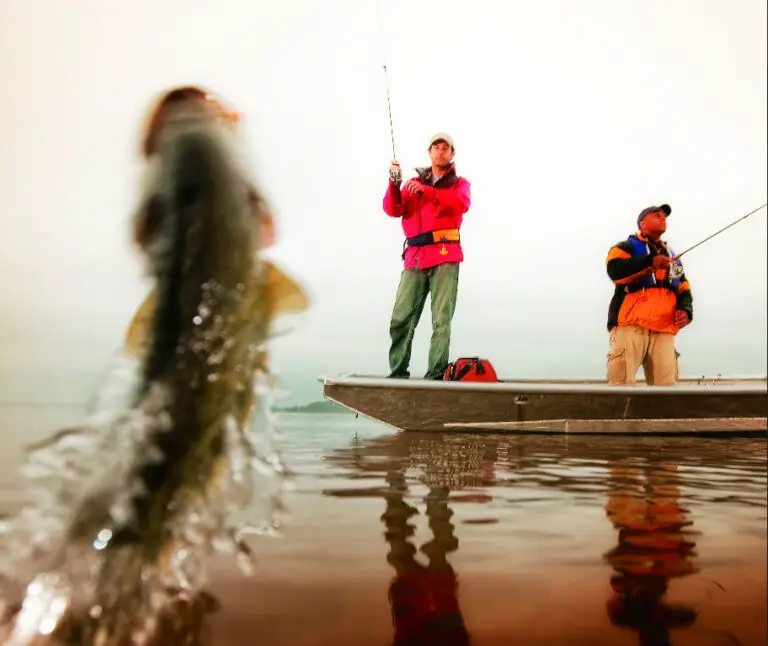 The REAL Secret To Bass Fishing In Fall [57 Tips, Patterns ...