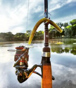 10 Best Drop Shot Baits You Don't Know About [But Should!] - Fishing ...