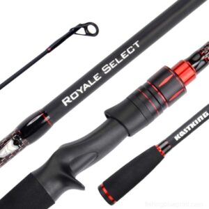 Discover The Best Casting Rod For Senko Fishing [My Budget Selection ...