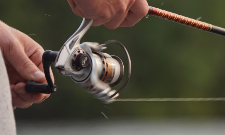 How To Fish A Senko Texas Rig (Easy Beginner’s Guide with Pictures ...