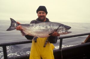 [Expert Reveals] The Real Difference Between Steelhead Vs Rainbow Trout ...
