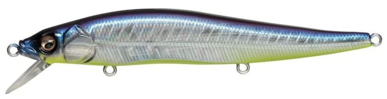 What is a Crankbait? [8 Types of Crankbaits SIMPLY Explained] - Fishing ...