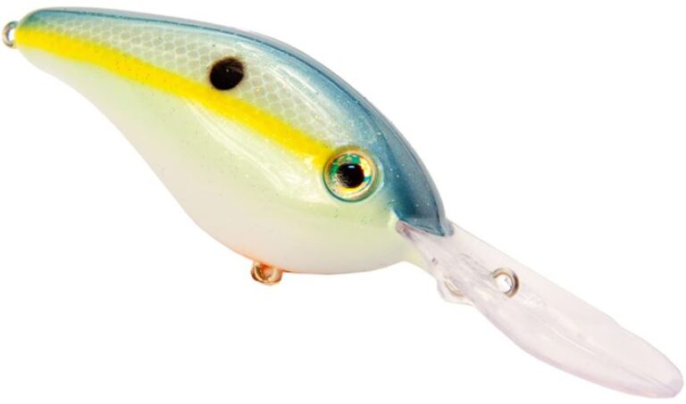 15 Best Deep Diving Crankbaits [2025 Buyers Guide - Which to Buy ...