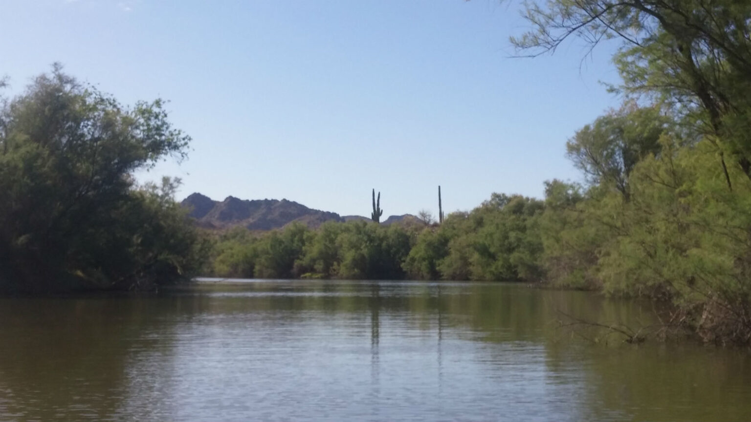 How To Fish A Senko Texas Rig (Easy Beginner’s Guide with Pictures ...