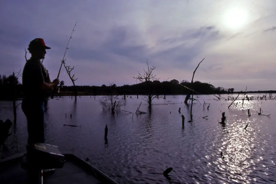 Little Known Pattern for Fishing Trees for Bass.. Now and Forever ...