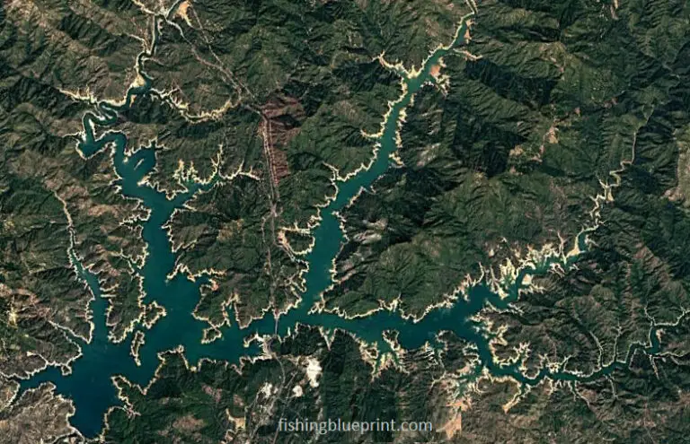 Bass Fishing POINTS [5 Quick & Easy Steps!] - Fishing Blueprint