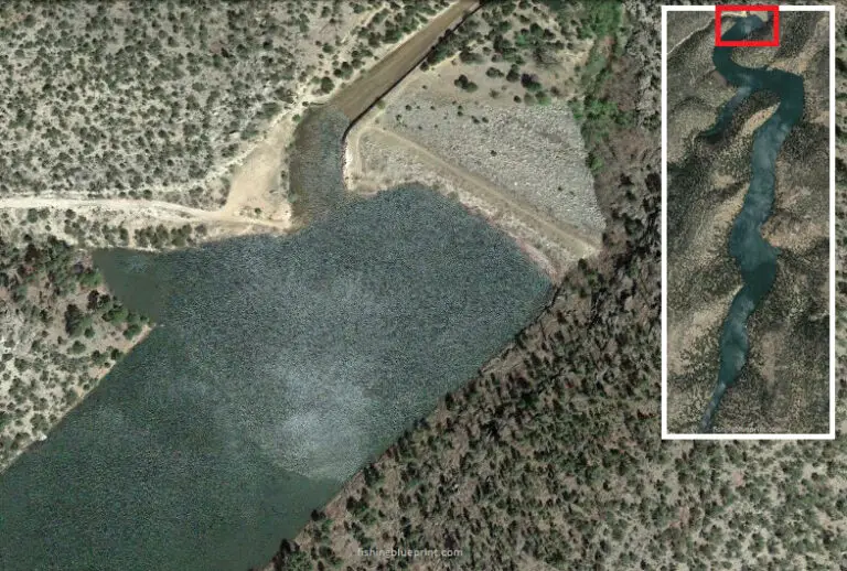 Chevelon Lake Fishing Report 2025 [Tips, Spots, Pictures, and ...