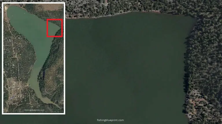 Show Low Lake Fishing Report 2025 [Tips, Spots, Pictures, and ...