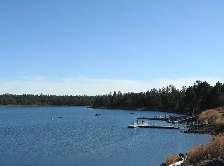 Show Low Lake Fishing Report 2025 [Tips, Spots, Pictures, and ...