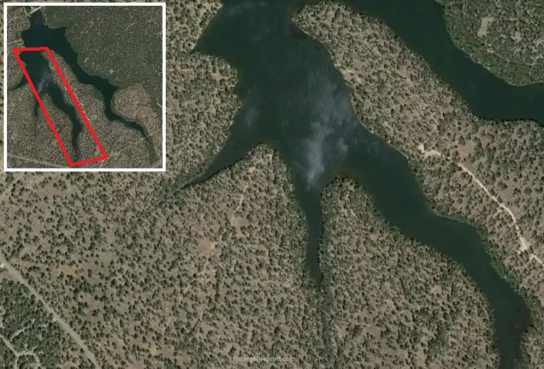 Willow Springs Lake Fishing Report 2025 [Tips, Spots, Pictures, and ...