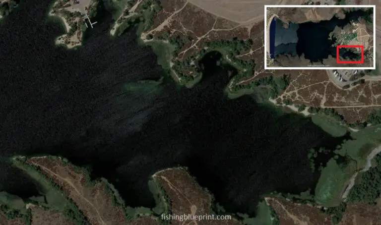 Lake Skinner Fishing Report 2025 [Tips, Spots, Pictures, and Everything ...