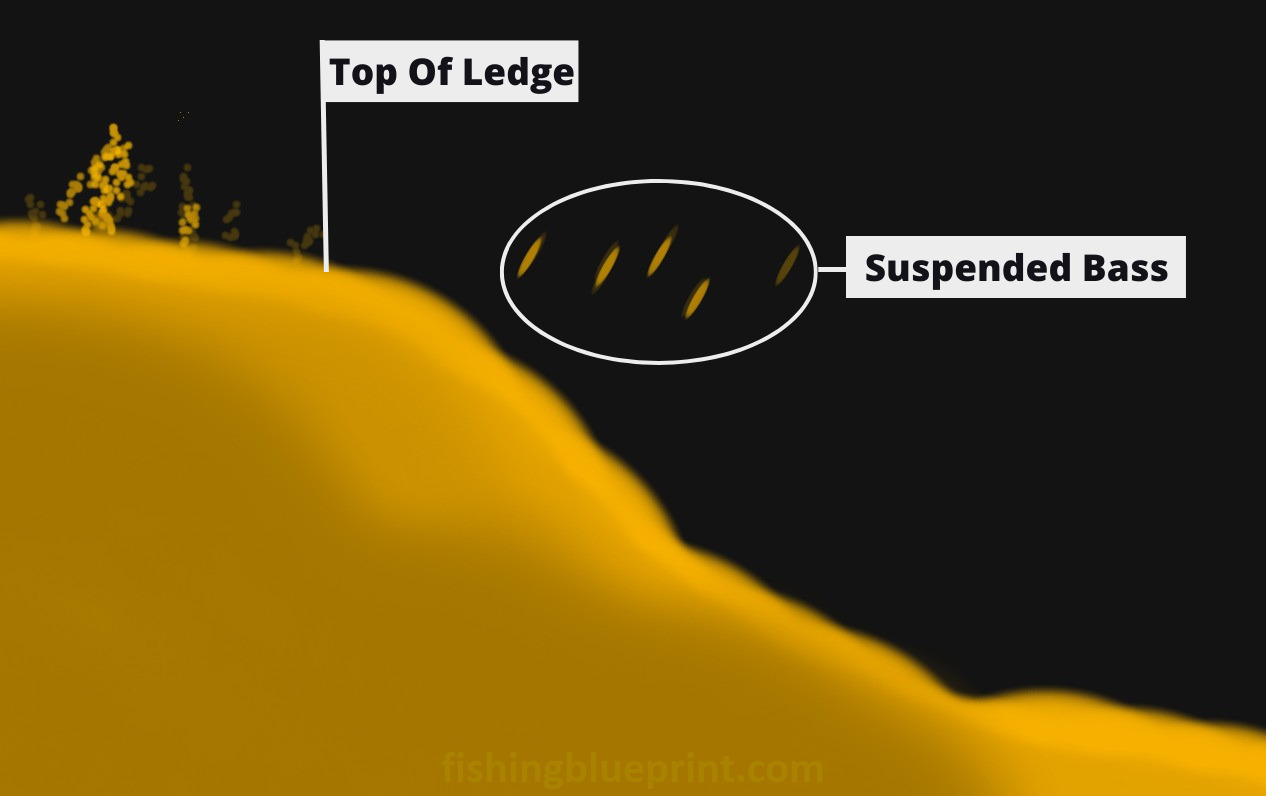 The 7-step Secret Formula for BASS FISHING LEDGES - Fishing Blueprint