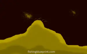 Bass Fishing POINTS [5 Quick & Easy Steps!] - Fishing Blueprint