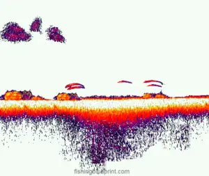 The Single Best Guide to Fishing SHELL BEDS... and... Do It Fast ...