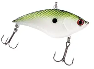 Best Lipless Crankbaits for Bass 2025: Top Picks the Pros Refuse to ...