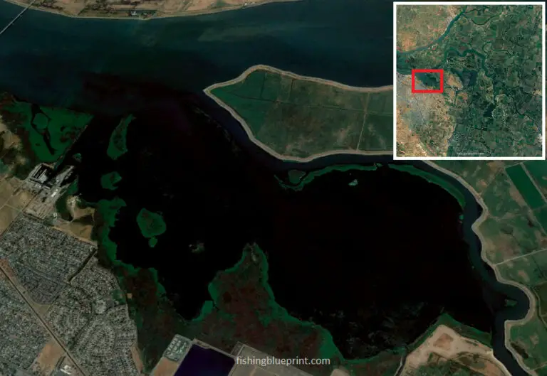 California Delta Fishing Report 2025 [Tips, Fishing Spots, Pictures ...