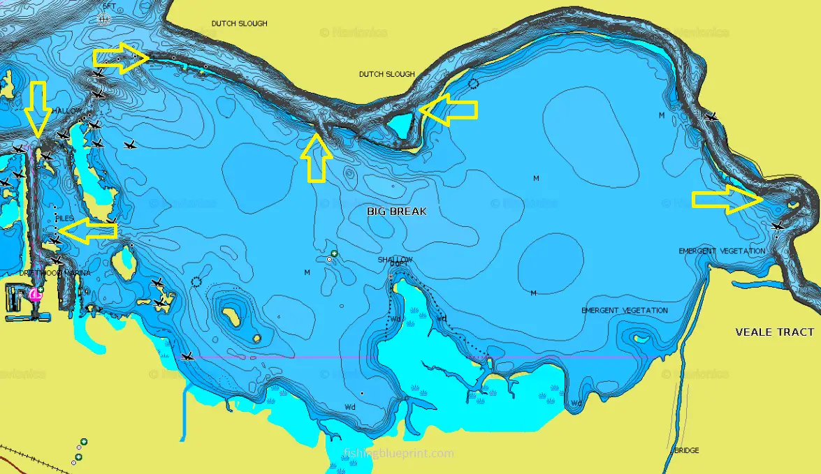 California Delta Fishing Report 2025 [Tips, Fishing Spots, Pictures ...
