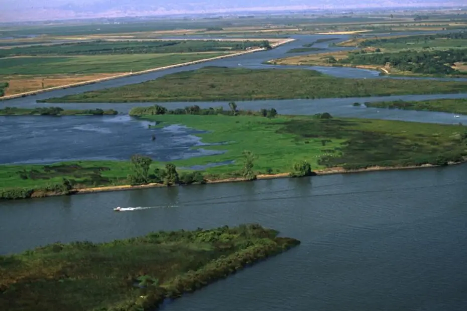 California Delta Fishing Report 2025 [Tips, Fishing Spots, Pictures ...