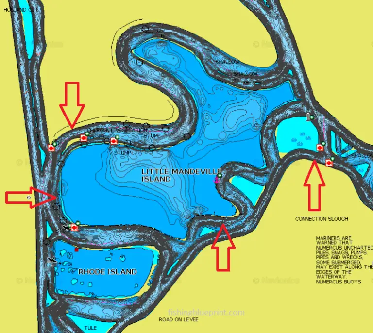 California Delta Fishing Report 2025 [Tips, Fishing Spots, Pictures ...