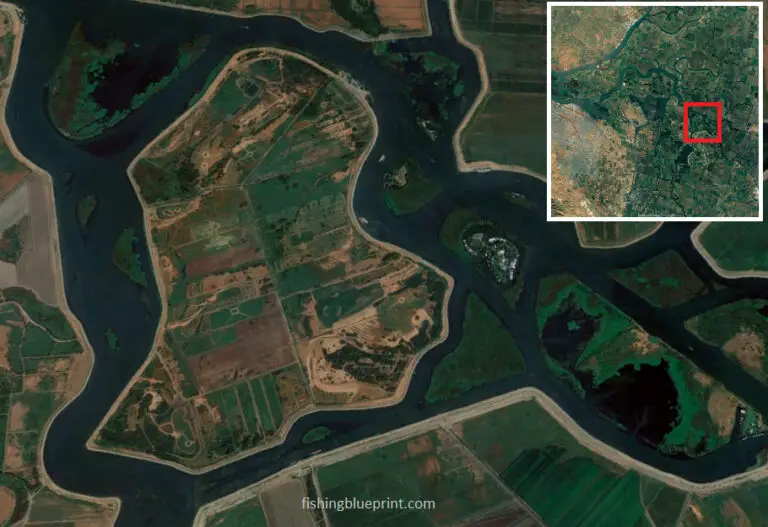 California Delta Fishing Report 2025 [Tips, Fishing Spots, Pictures ...
