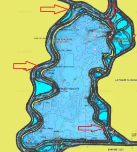 California Delta Fishing Report 2025 [Tips, Fishing Spots, Pictures ...