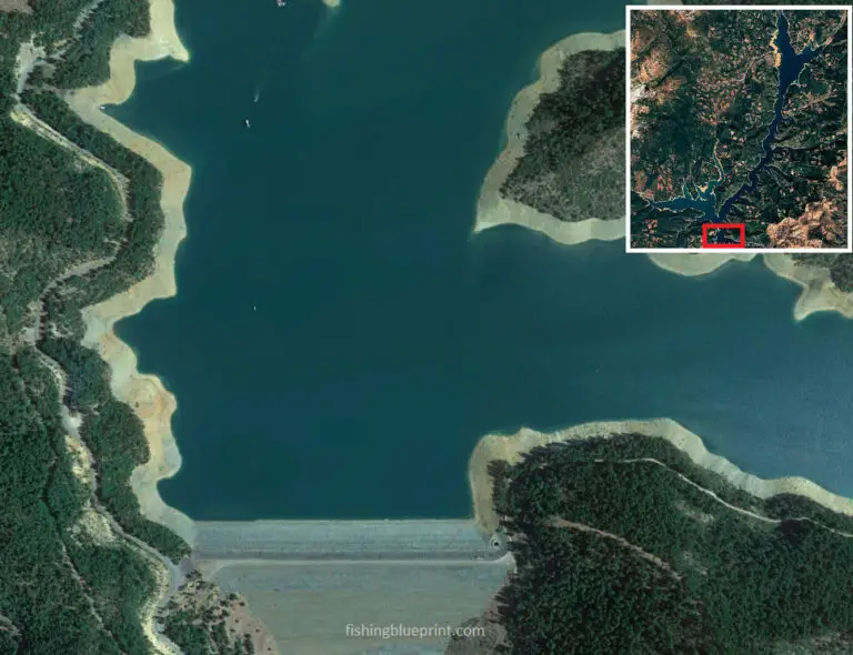 Trinity Lake Fishing Report 2025 [Tips, Spots, Pictures, and Everything ...