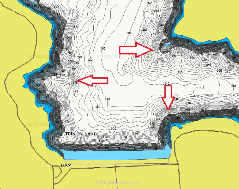 Trinity Lake Fishing Report 2025 [Tips, Spots, Pictures, and Everything ...