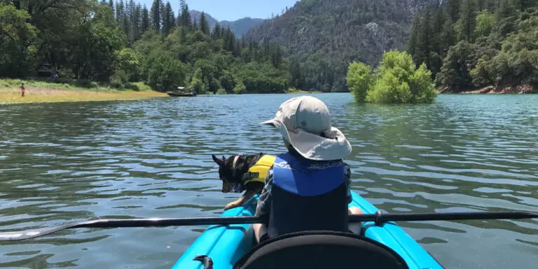 Trinity Lake Fishing Report 2025 [Tips, Spots, Pictures, and Everything ...