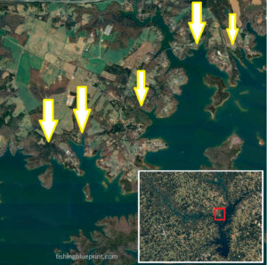 Lake Hartwell Fishing Report 2025 [Tips, Spots, Pictures, and ...