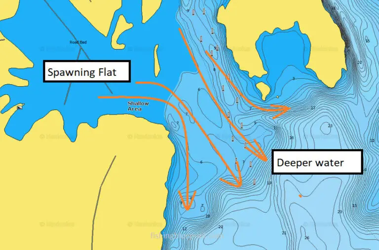 [No Excuses] 7 Tips for Post Spawn Bass Fishing Success - Fishing Blueprint
